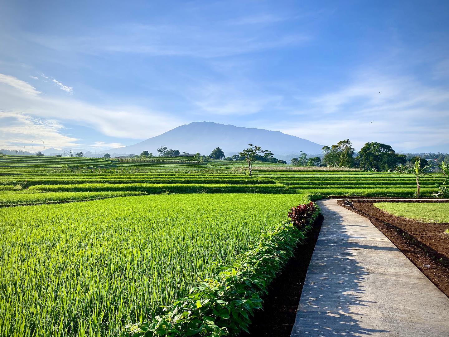 Review Padi Resort Pancawati, Fasilitas dan Harga Sewanya ...