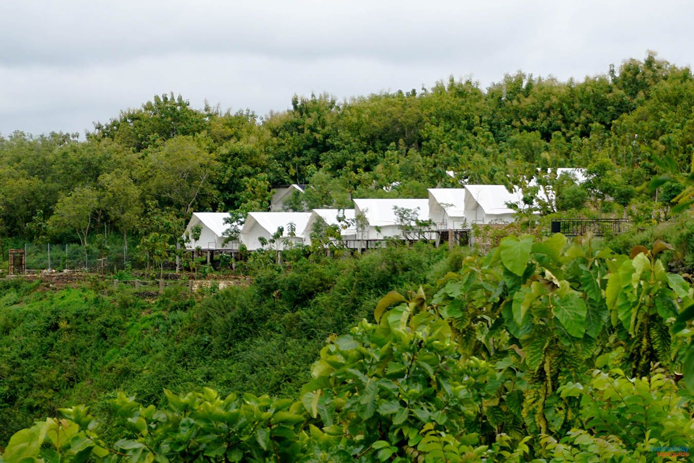 10 Rekomendasi Glamping Yogyakarta Lagi Hits 2023 - IndoHolidayTourGuide