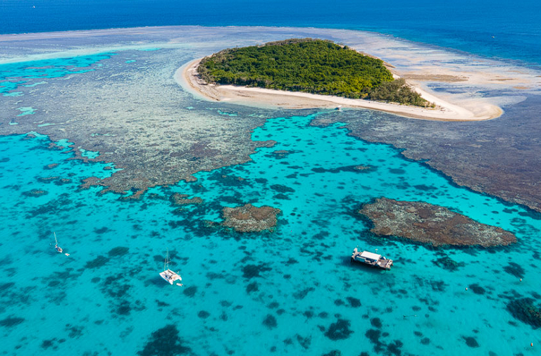 Wisata Great Barrier Reef, Ada Apa Saja? - IndoHolidayTourGuide